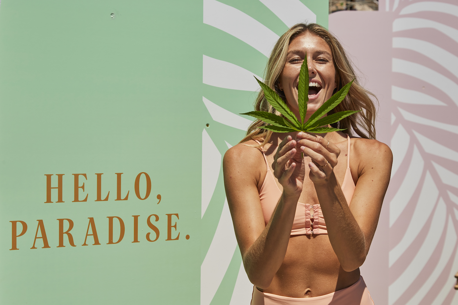 Simon Perry Studio, still life photographer, Los Angeles