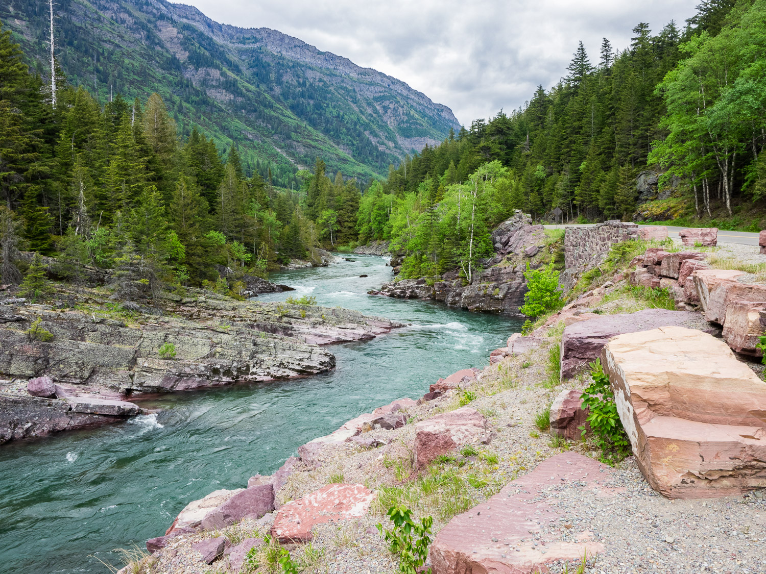 Tom Bodley Photography