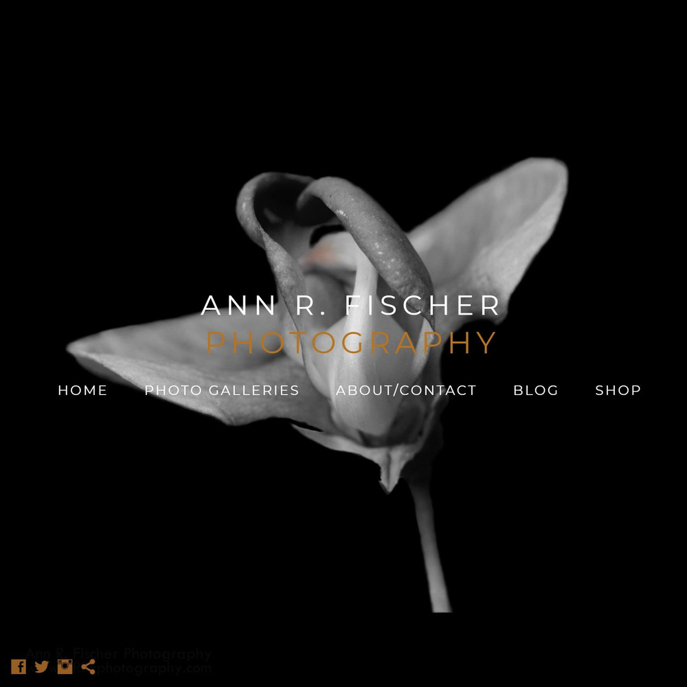 Ann R. Fischer Fine Art Photography