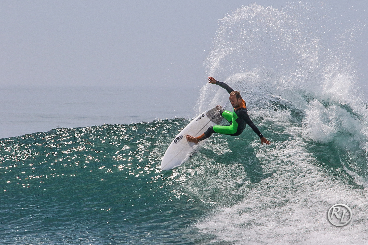 Home - Ron Lyon Photo