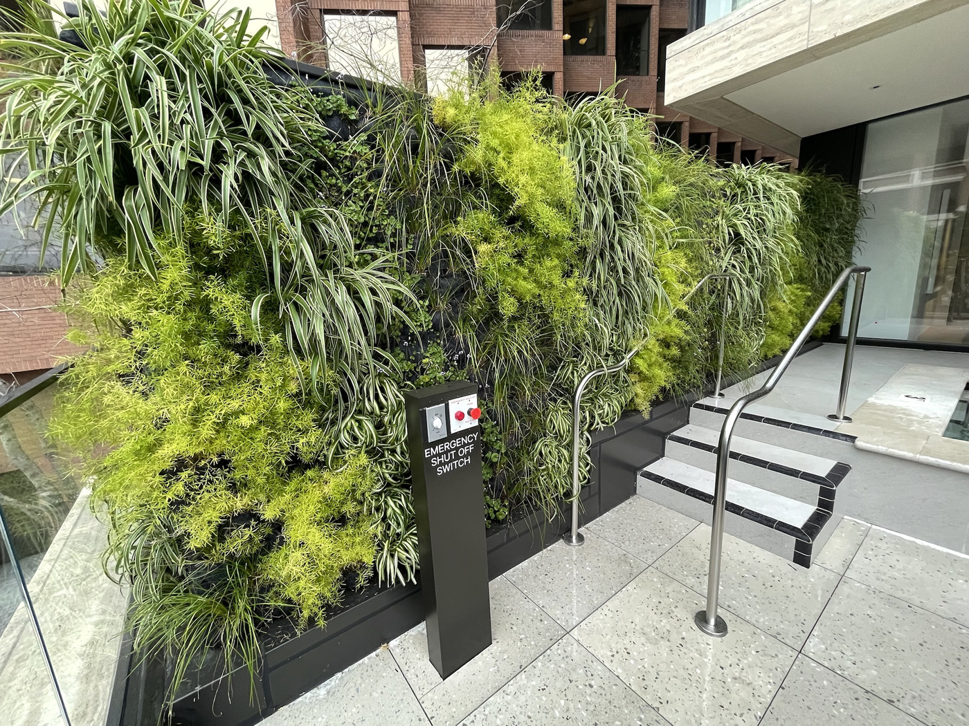 Seasonal [News] - Aaron Dang