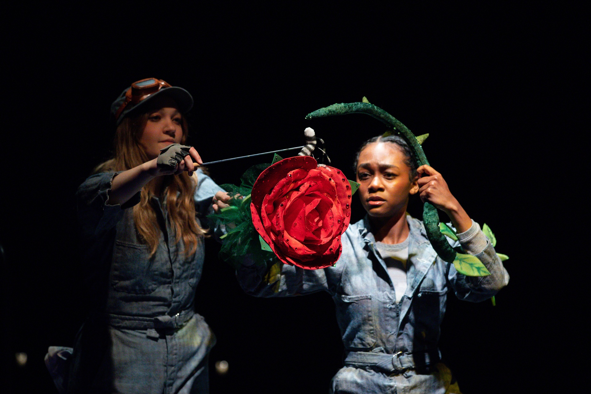 Katy Williams Design