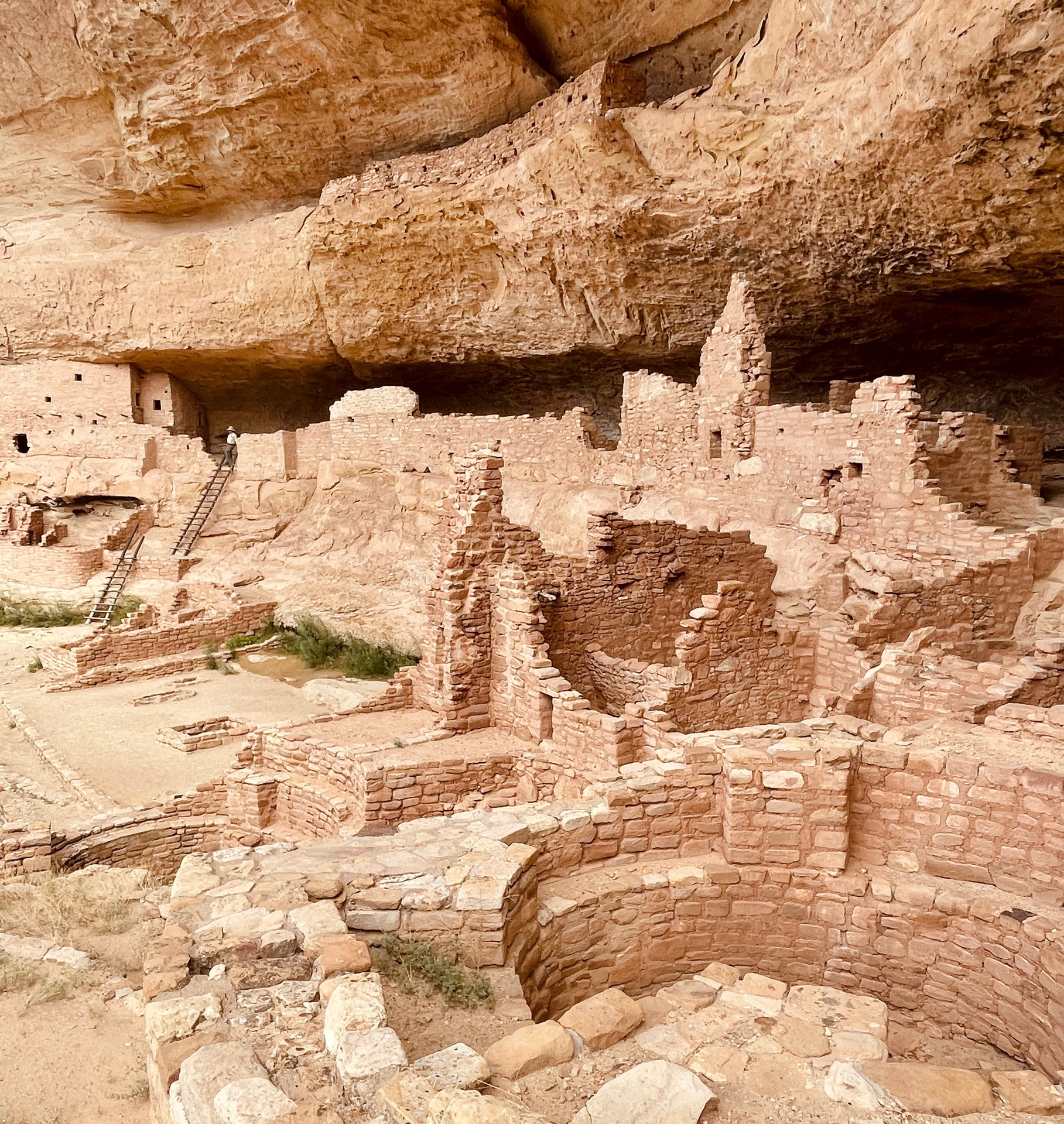 Cortez Design Studio