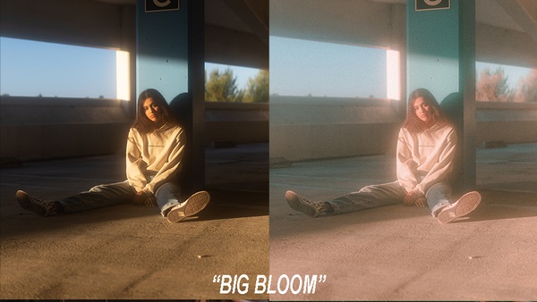 Moody Film Preset Pack