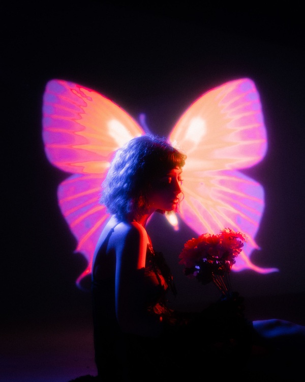 Moodydarkroom Butterfly Projection Pack