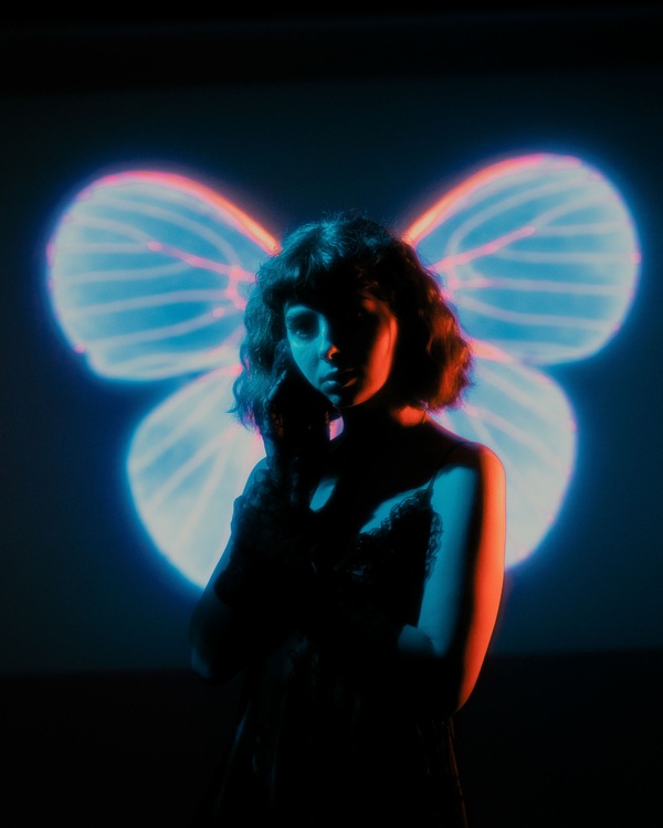 Moodydarkroom Butterfly Projection Pack