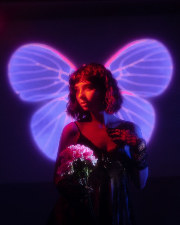 Moodydarkroom Butterfly Projection Pack