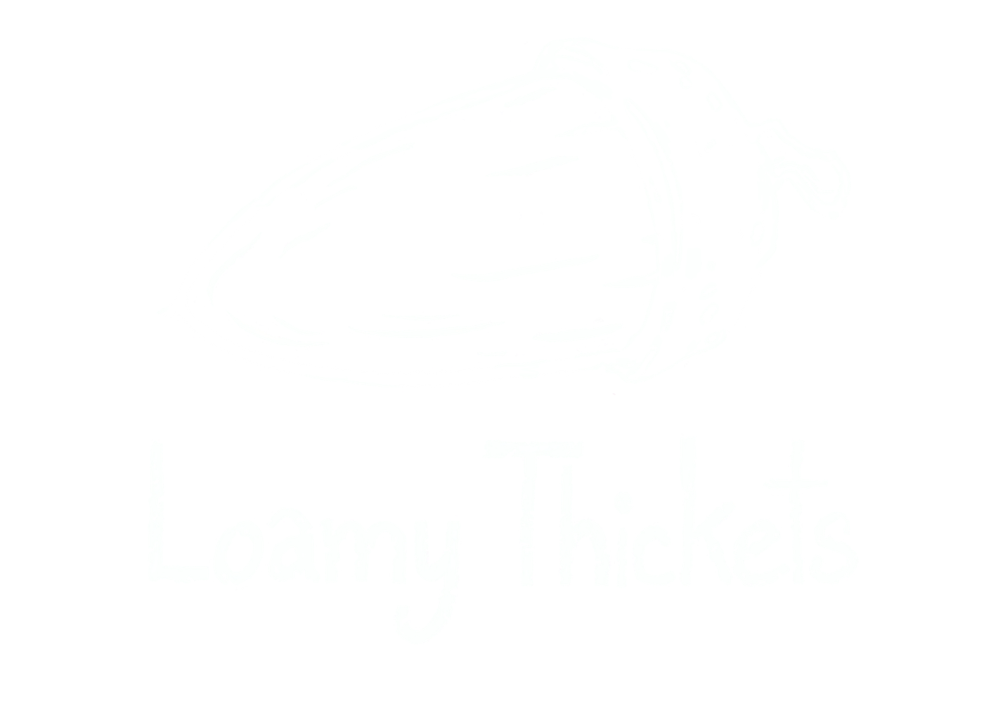 Loamy Thickets
