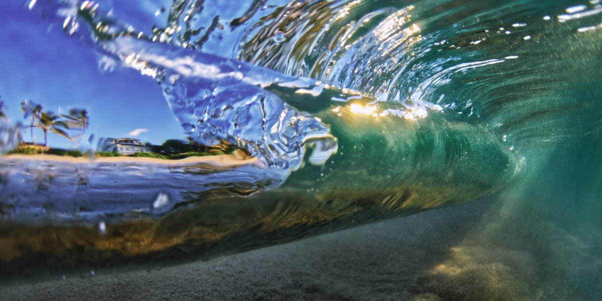 Chris Lowenthal Photography